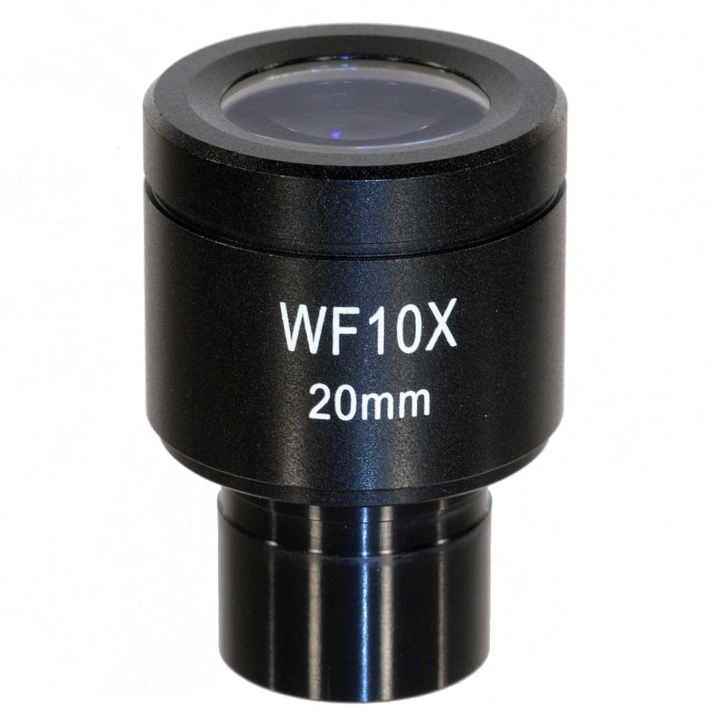 Oculaire Microscope 10X WF-20 gradué 1/10 100DIV | Naturoptic